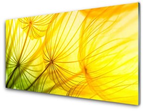 Plexisklo-obraz Pampelišky Květiny Příroda 125x50 cm