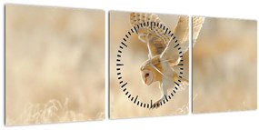Obraz - Sova pálená (s hodinami) (90x30 cm)