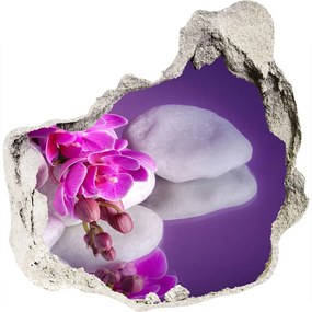 Wallmuralia Fotoobraz díra na stěnu Orchidej 75x75 cm