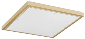 Argon Argon 1816 - Stropní svítidlo CARLSON 4xE27/15W/230V 60x60 cm zlatá AR1816