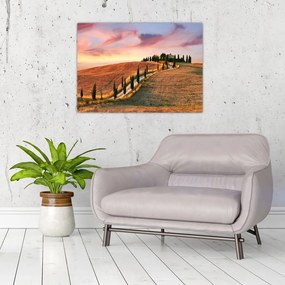 Skleněný obraz - Dům na kopci, Toskánsko, Itálie (70x50 cm)