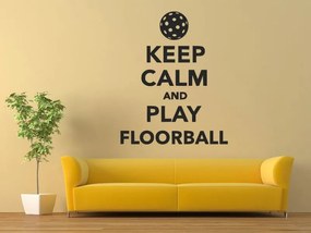Samolepka na zeď Keep calm and play floorball 1117