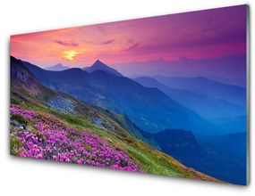 akrylový obraz Hory Louka Květiny Krajina 140x70 cm