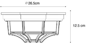 Rustikální stropní svítidlo rezavě hnědé 26,5 IP44 - Bri