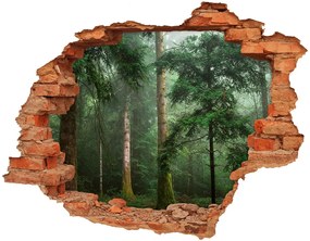 Wallmuralia Díra 3D foto tapeta nálepka Mlha v lese 90x70 cm