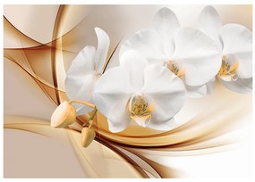 Fototapeta - Orchid blossom