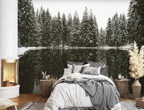 Gario Fototapeta Jezero v lese v zimě Materiál: Vliesová, Rozměry: 200 x 140 cm
