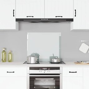 Kuchyňský panel průhledný 70 x 60 cm tvrzené sklo 249468