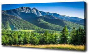 Wallmuralia Moderní obraz canvas na rámu Skokanský můstek Tatry 100x50