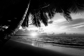 Samolepící fototapeta černobílá karibská pláž - 450x300 cm