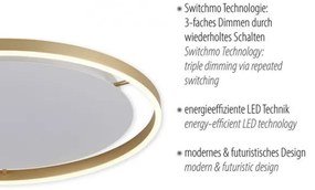 Leuchten Direkt 15392-60 - LED Stmívatelné stropní svítidlo RITUS LED/30W/230V