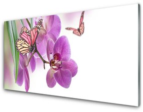 Obraz na skle Motýli Květiny Příroda 120x60 cm