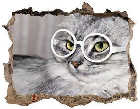 Wallmuralia Díra 3D fototapeta nálepka Kočka v brýlích 95x64 cm