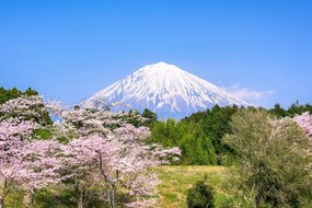 Obraz sopka Fuji