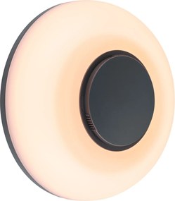P 94955 LED venkovní nástěnné svítidlo Aureva IP65 kruhové 220mm 2200 - 4000K 20,5W 230V antracit/bílá polykarbonát - PAULMANN