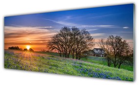 akrylový obraz Louka Slunce Krajina 125x50 cm