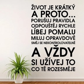 Život je krátký - vinylová samolepka na zeď 80x52cm