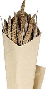 Sada sušených hnědých květin Fleur Seterea – 75 cm