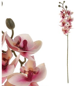 Orchidej - barva světle růžová KUM3417-PINK-LT