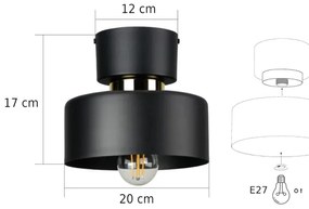 Stropní svítidlo IGNIA 1xE27/60W/230V černá