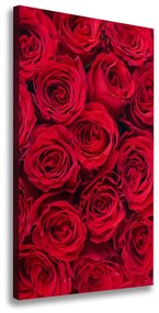 Wallmuralia Vertikální Foto obraz na plátně Červené růže 50x100