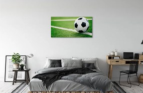 Obrazy na plátně fotbalový trávník 125x50 cm