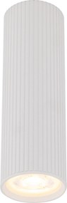 TK Lighting Bílé stropní svítidlo Tune M 55mm pro žárovku GU10 TK10025