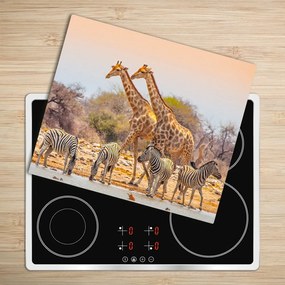 Skleněné deska do kuchyně Žirafy a zebry 60x52 cm