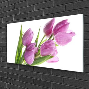 Obraz na skle Tulipány Květiny Rostlina 125x50 cm