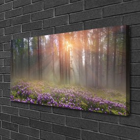 Obraz na plátně Les Květiny Rostlina Příroda 100x50 cm