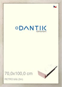 DANTIK rámeček 70x100 | RETRO bílá (Plexi Čiré)