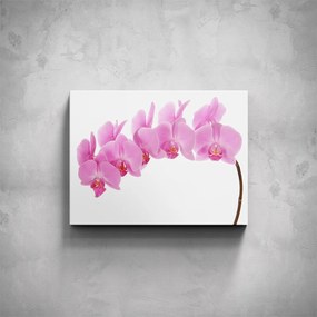 Obraz - Růžová orchidej - PopyDesign