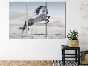 Vícedílný obraz Kůň V Poušti 3D Nedostatek Nedostatek Přírodní plátno 60x40