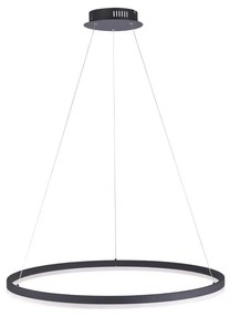 Paul Neuhaus | Paul Neuhaus 2383-13 - LED Stmívatelný lustr na lanku TITUS LED/50W/230V | W1761
