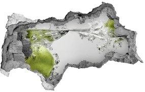 Wallmuralia Nálepka 3D díra Jablko pod vodou 95x73 cm