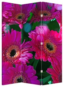 Paraván - Květiny (126x170 cm)