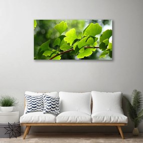 Obraz na plátně Větve Listy Příroda Strom 100x50 cm