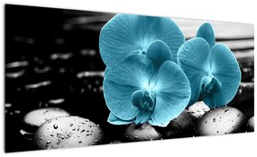 Obraz orchideje (100x40cm)