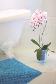 Květináč Coubi Orchidea transparentní mat