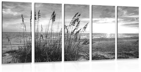 5-dílný obraz západ slunce na pláži v černobílém provedení - 100x50