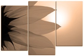 Obraz na plátně - Slunečnice květ 1201FD (90x60 cm)