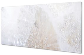 akrylový obraz Kapky pampeliška abstrakce 120x60 cm