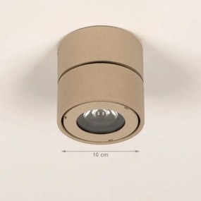 Stropní LED svítidlo do koupelny Paul Flex Taupe X