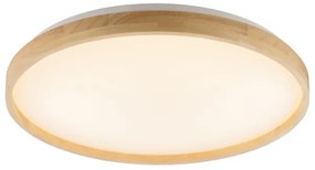Brilliant - LED Stmívatelné stropní svítidlo ALSON LED/21W/230V béžová + DO