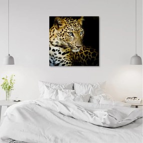 Obraz na plátně, Majestic Leopard - 60x60 cm