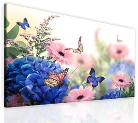 Obraz na plátně motýli Velikost (šířka x výška): 100x60 cm