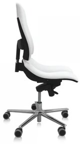 Zdravotní židle Steel Standard / šedá