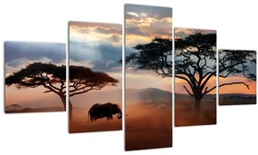 Obraz - Národní park Serengeti, Tanzánie, Afrika (125x70 cm)