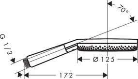 Hansgrohe Raindance Alive Select S - Sprchová hlavice | 3 proudy | Eco