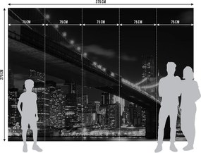 Fototapeta na míru Brooklynský Most v Noci | Vliesová fototapeta na zed' | DFTNS2469